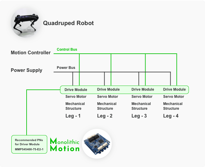 Quadruped Robot